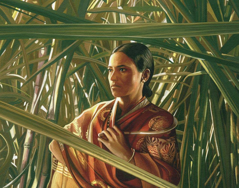 Soutenance de thèse de Kinshuk SURJAN - Faculté de Lettres,Traduction ...